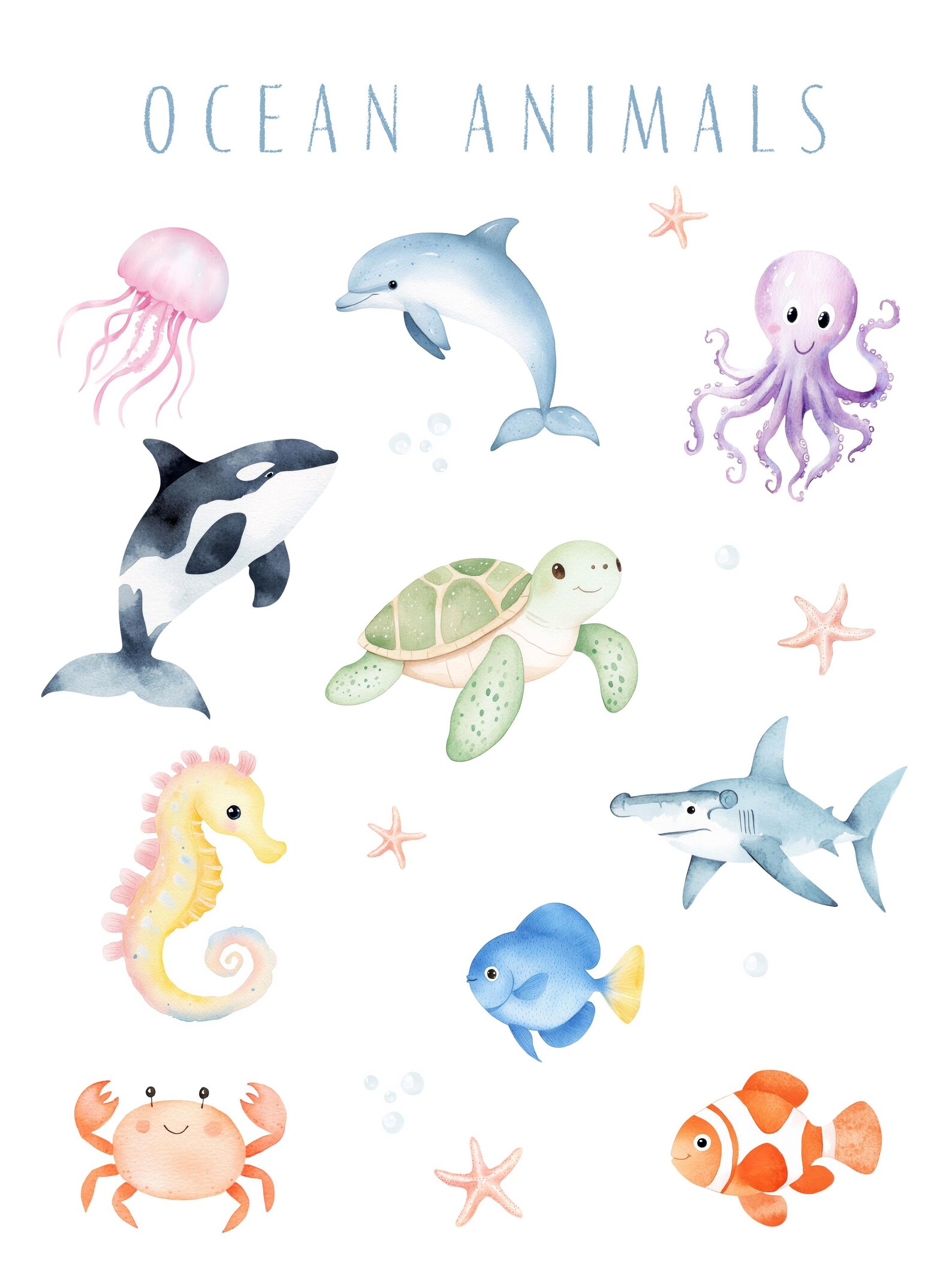 Ocean Animals Flashcards - Educational Printable Cards for Kids ...