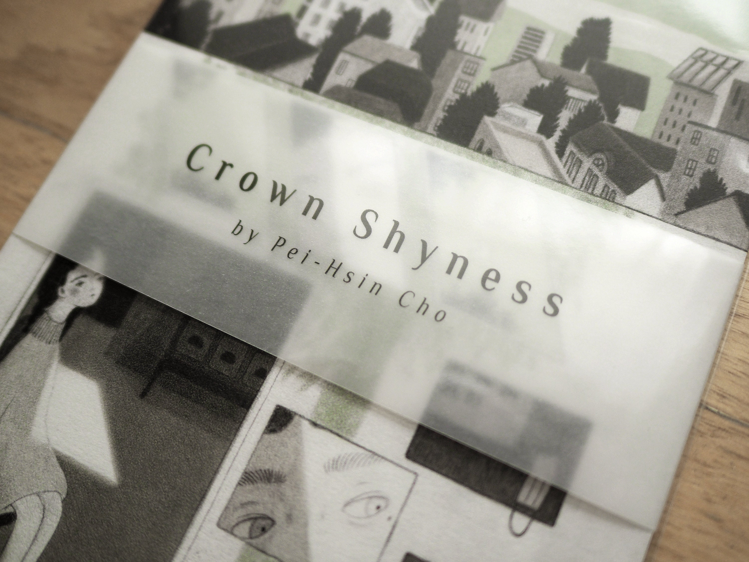 Crown Shyness A5 Zine and Postcards - Etsy