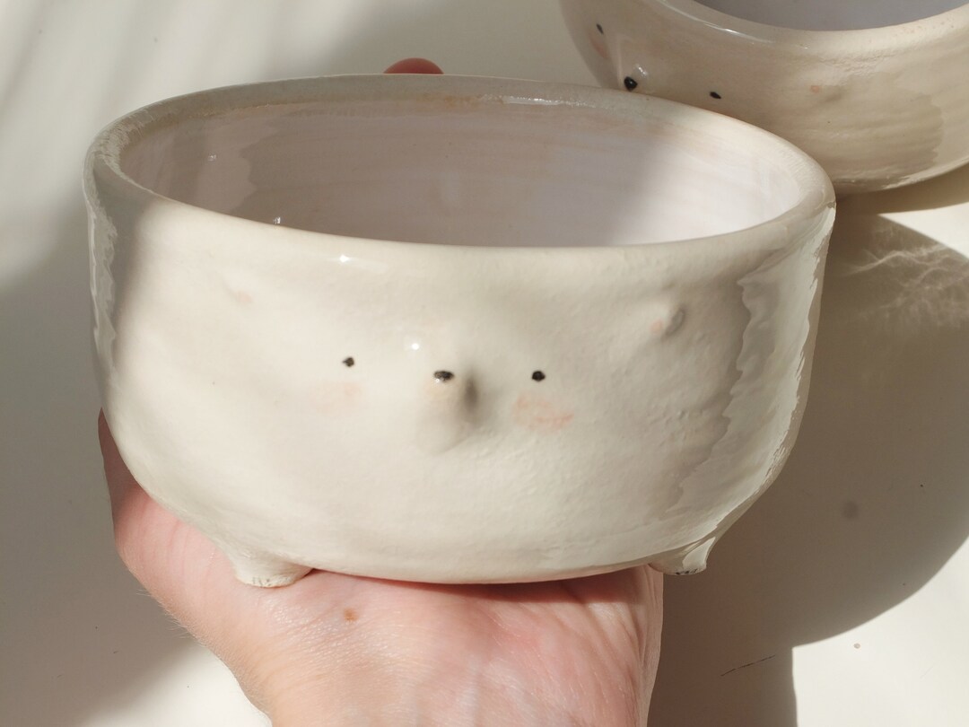 Hedgehog Planter Modern Ceramic Planter Animal Planter - Etsy