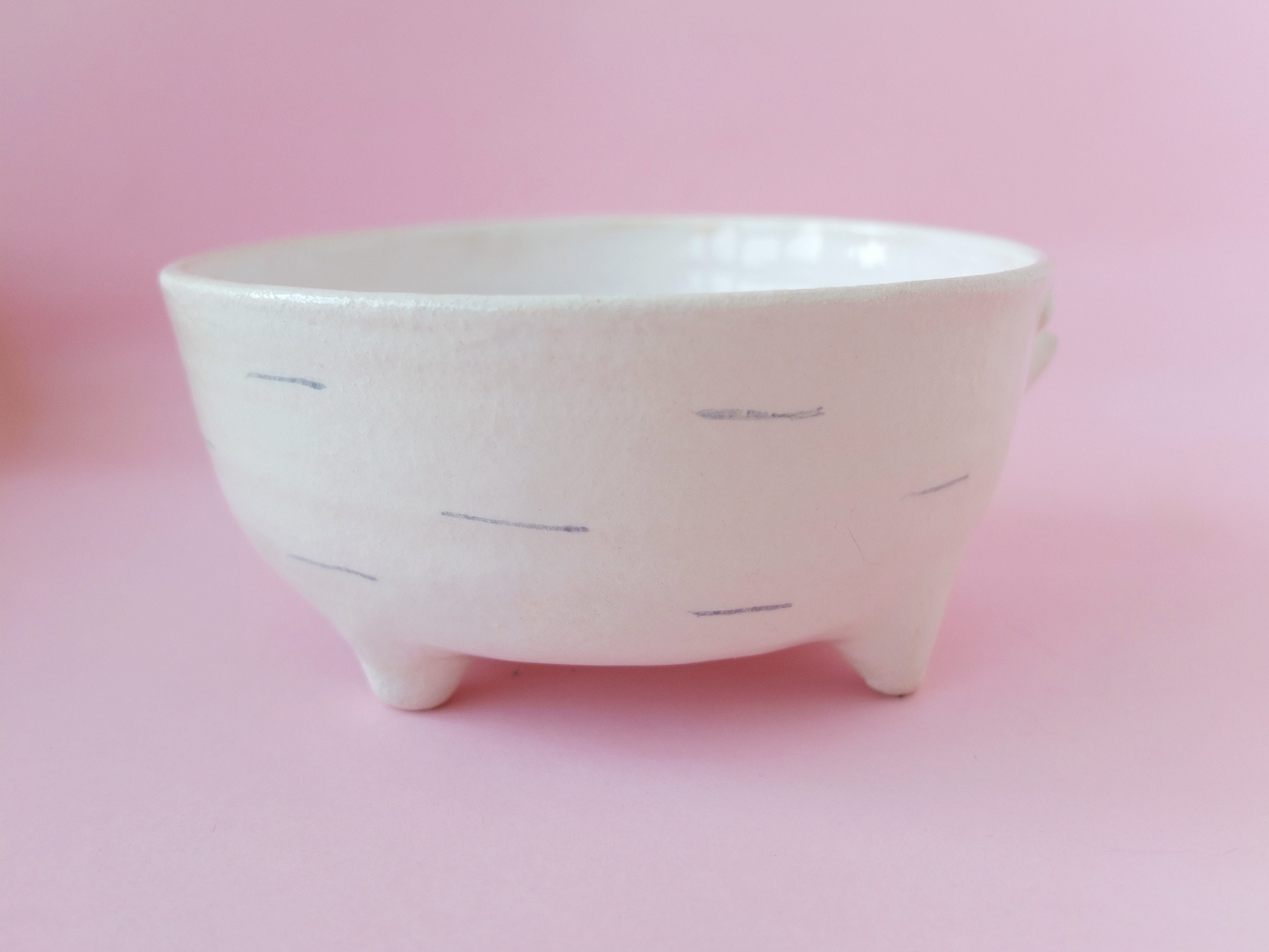 Hedgehog Planter Modern Ceramic Planter Animal Planter | Etsy