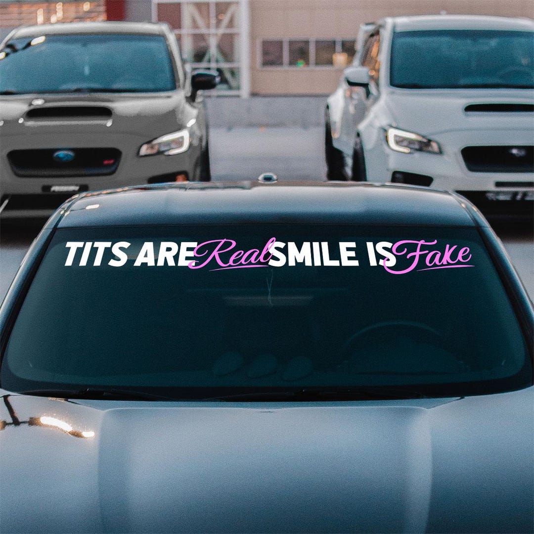 Fake Smile Funny Car Banner, Gen Z Humour Car Sticker, Sassy Snarky ...