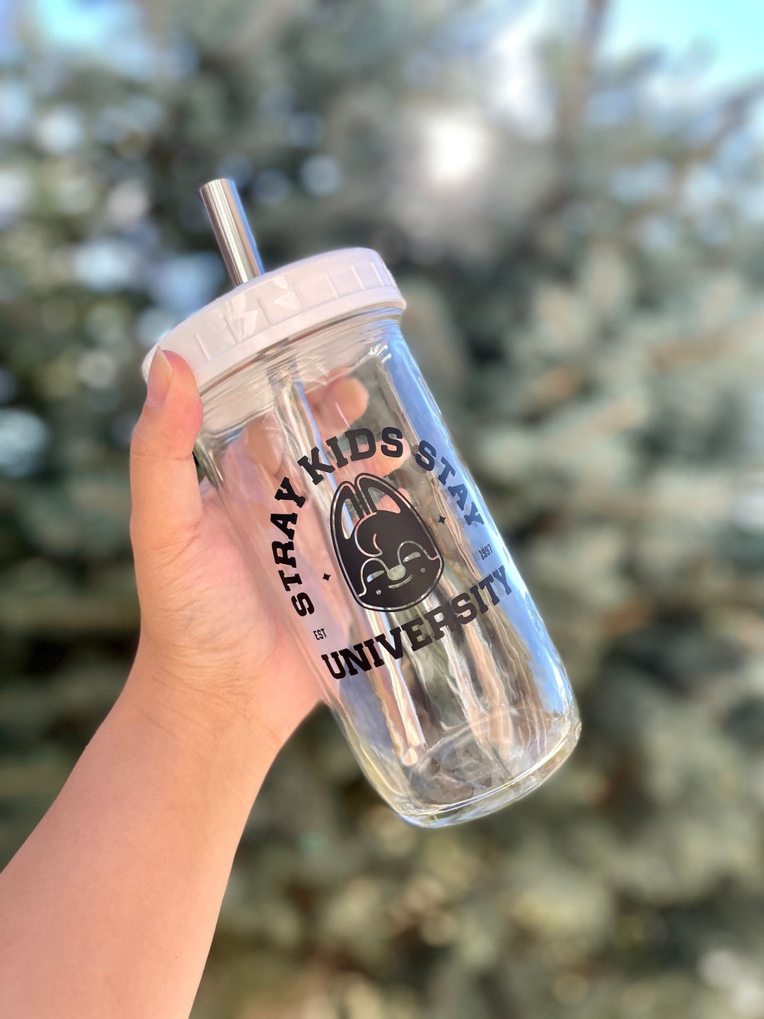 Stray Kids Skzoo Reusable Bubble Tea Cup | Boba Tea/smoothie Glass Cup ...