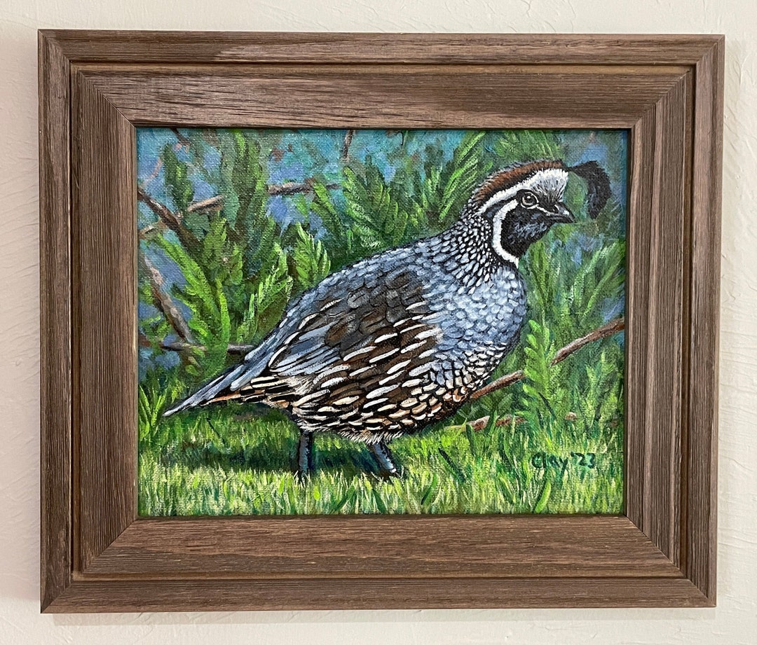 Original Acrylic Artwork of Quail Bird in Lush Landscape in Realistic ...