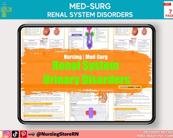 Urinary System - Etsy