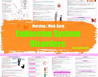 Endocrine System | Etsy