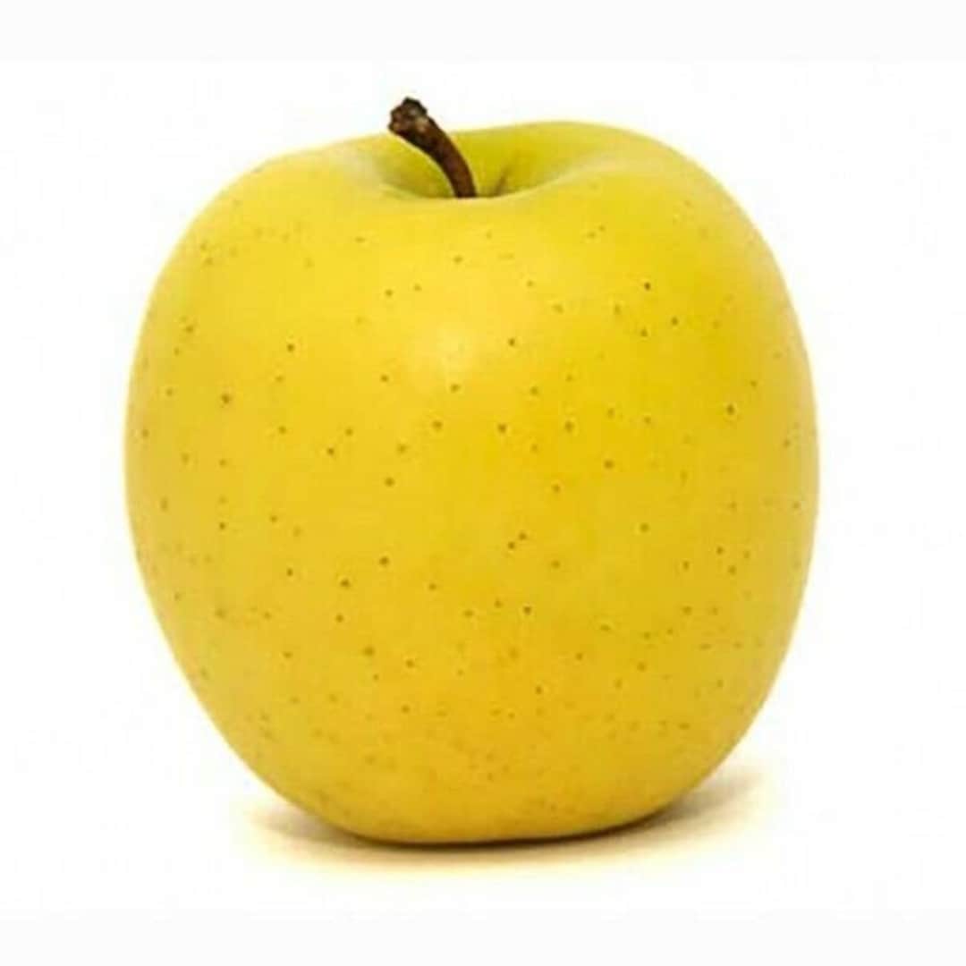 Rare 10 Seeds Dorset Golden Apple Tree - Etsy Canada