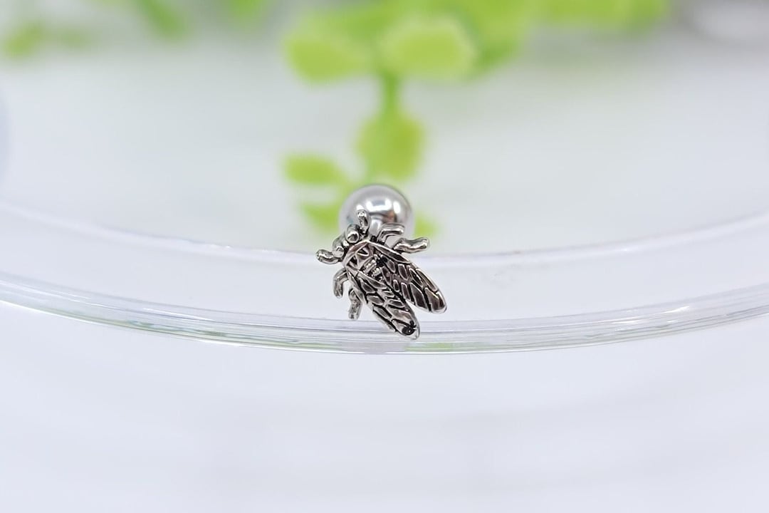 16G* Little Vintage Bug Piercing/various Post Bar Externally Threaded ...