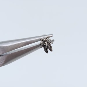 16G* Little Vintage Bug Piercing/various Post Bar Externally Threaded ...