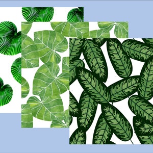 Tropical Leaves Digital Papers, Green Leaf Background Design, Seamless ...
