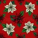 Poinsettia Christmas Flowers, Digital Paper Downloads, 34 Seamless ...