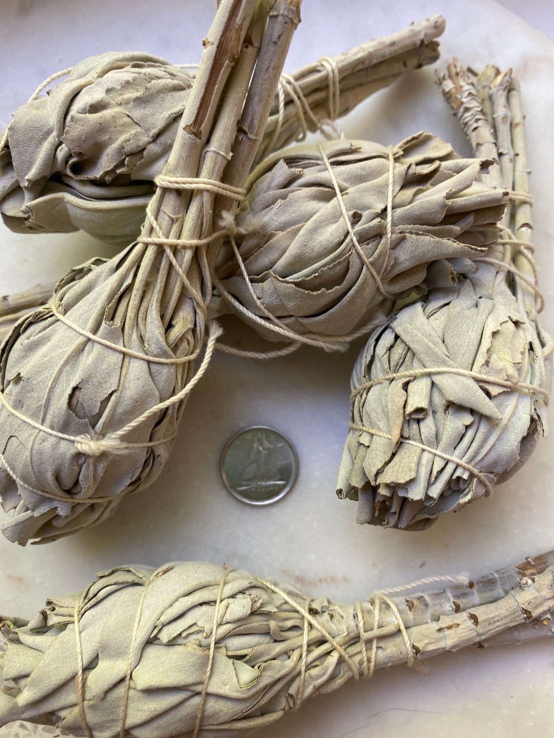 White Sage Smudging Stick - Etsy