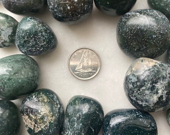 LYMPHATIC SYSTEM SUPPORT Tumbled Crystal Healing Set 4 Gemstones With ...