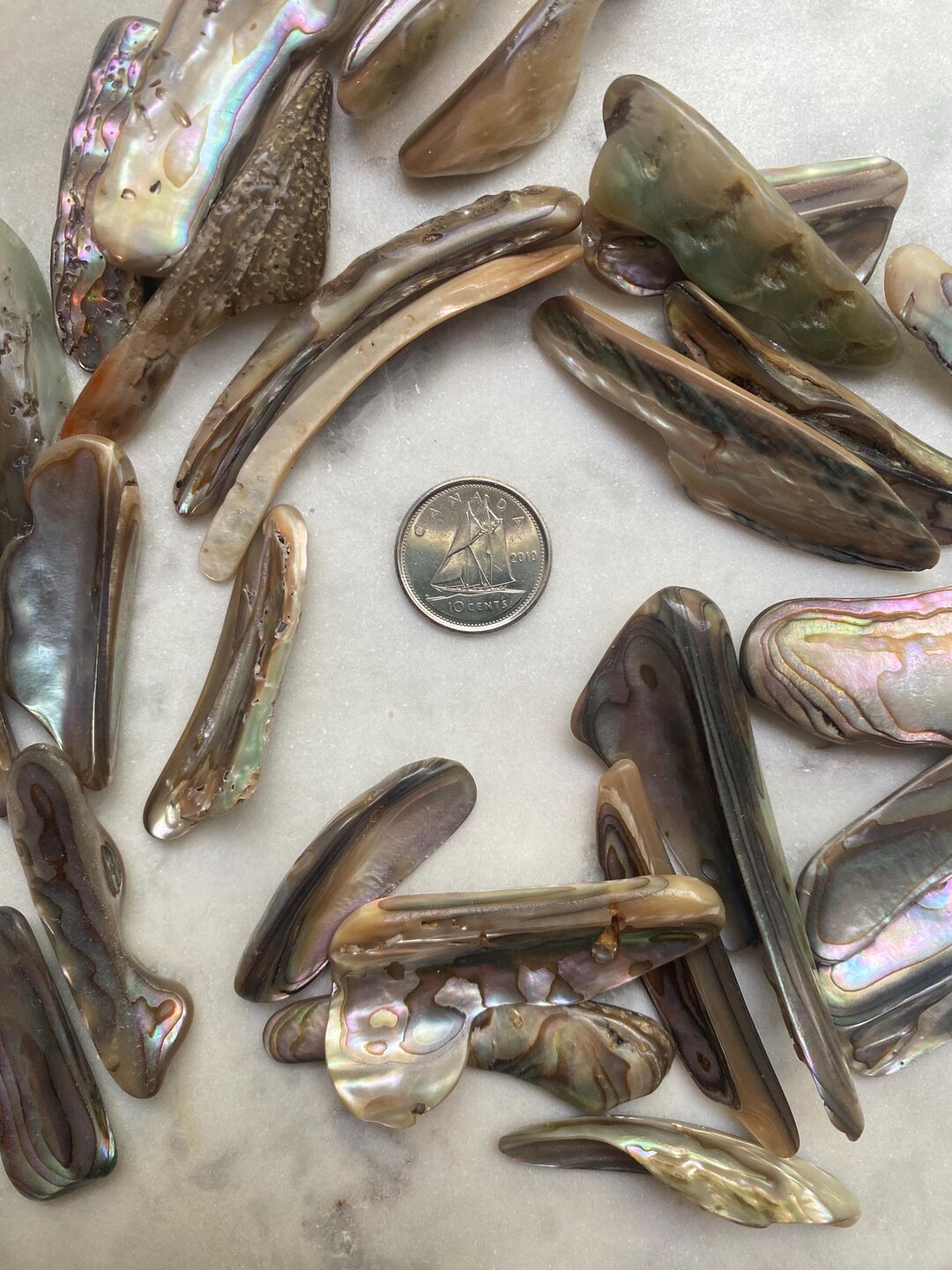 Abalone Shell Crystal - Etsy