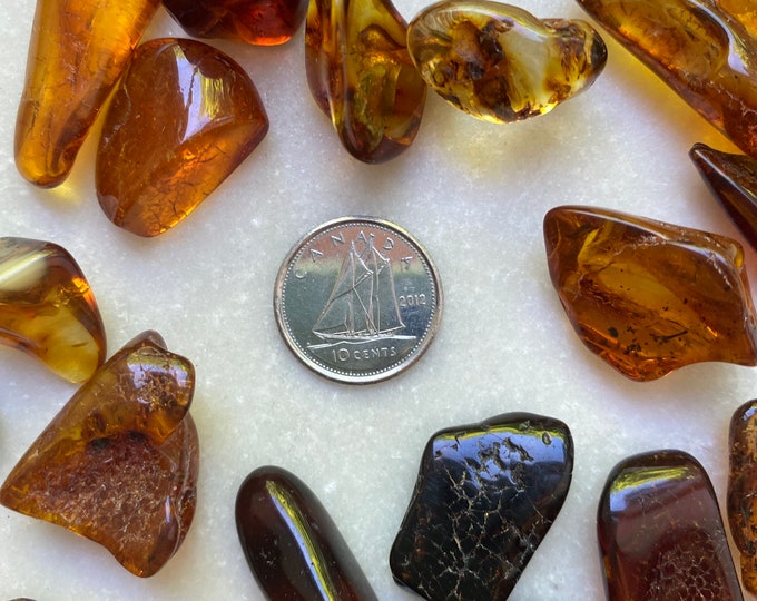 Baltic Amber "e Quality" FOSSIL COLOUR Tumbled Crystal (includes 1-4 ...