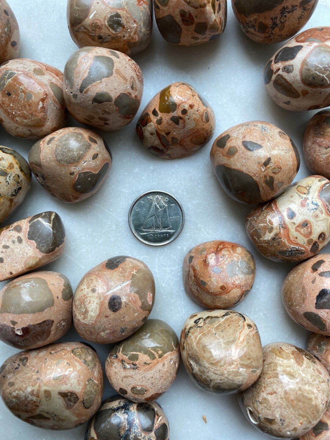 Leopardite (oncolite) Tumbled Crystal - Etsy