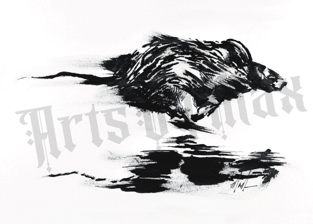 Run Rat Run 5x7 Art Print - Etsy