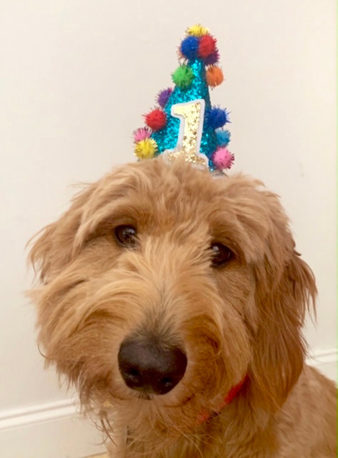 Custom Mini Fun Party Hat, FIRST Birthday, 1st B-day Hat, Girl Boy Dog ...