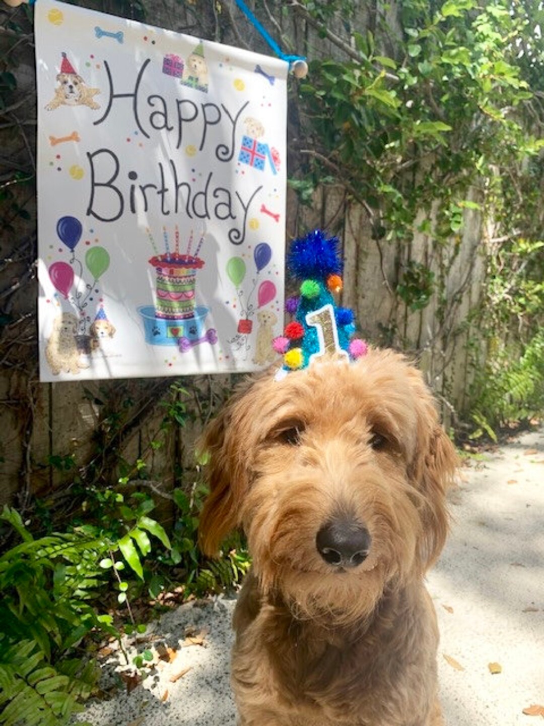 Custom Mini Fun Party Hat, FIRST Birthday, 1st B-day Hat, Girl Boy Dog ...