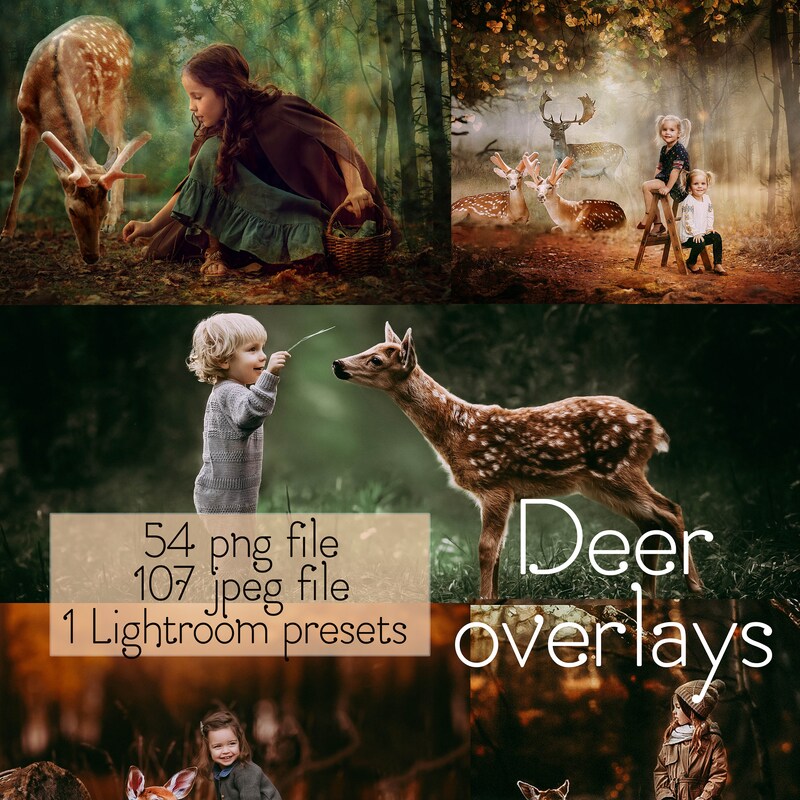 Animal Overlays - Etsy