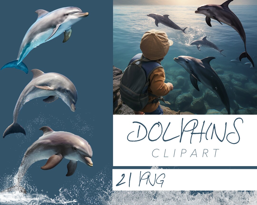 Dolphins Overlay Photoshop, Photo Composite, Digital Dolphin PNG ...