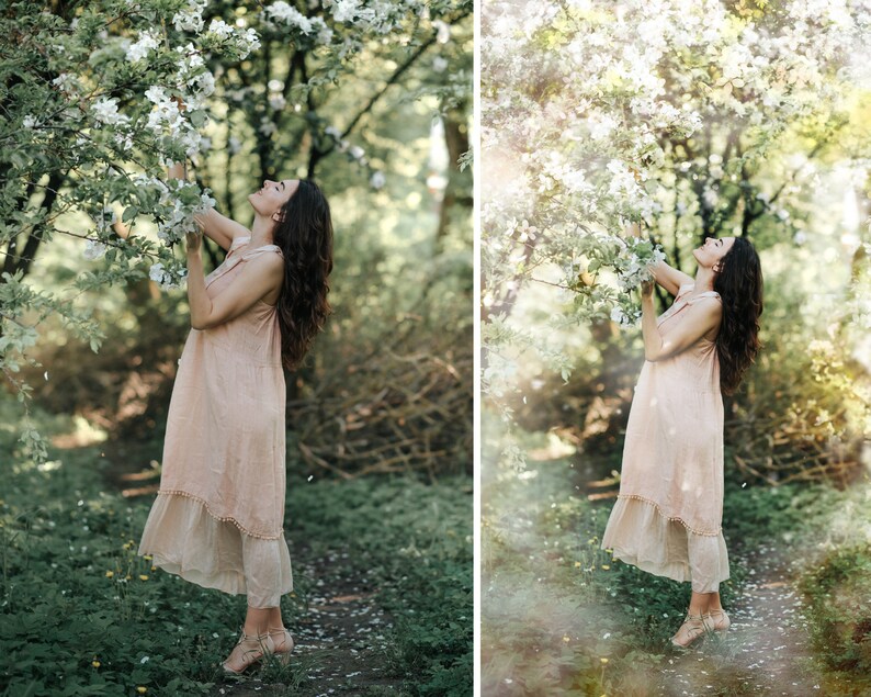 Apple Blossom Overlays Spring Overlays Blooming Spring - Etsy