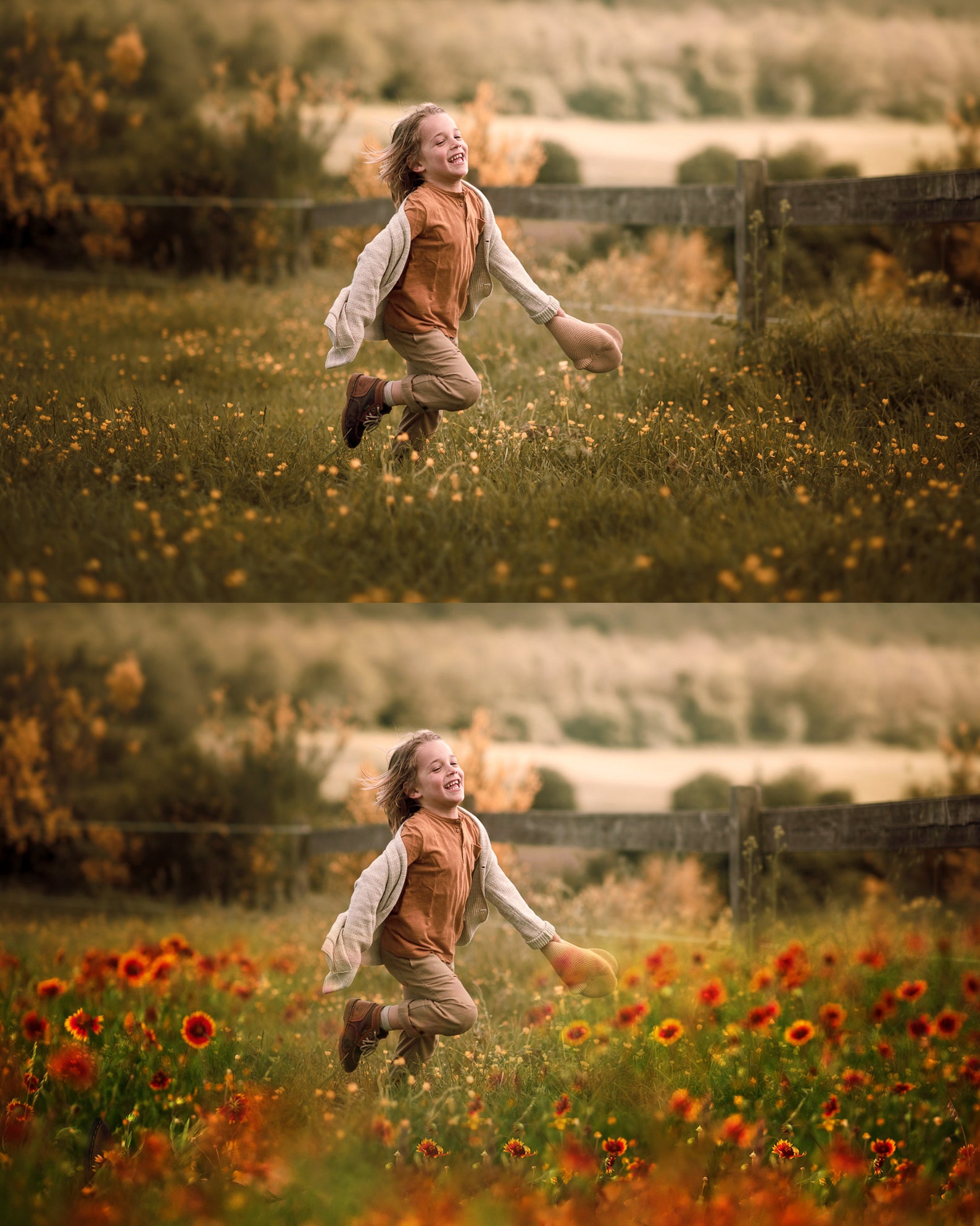 Flower Glade Photoshop Overlays Flowering Field Photo - Etsy