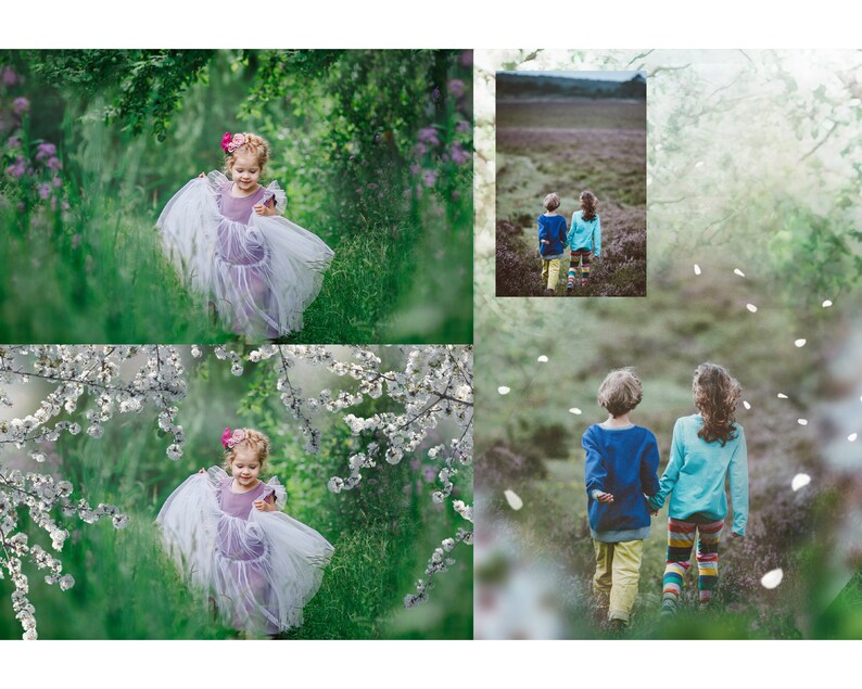 Apple Blossom Overlays Spring Overlays Spring Apple Tree - Etsy