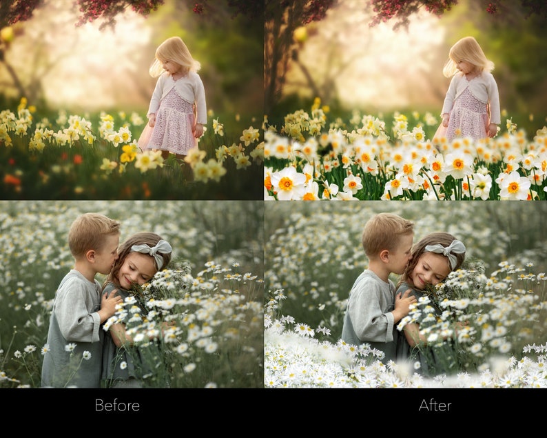 Flower Glade Photoshop Overlays Flowering Field Photo - Etsy