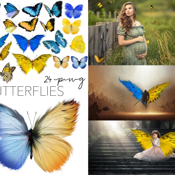 Blue Butterfly Overlay - Etsy