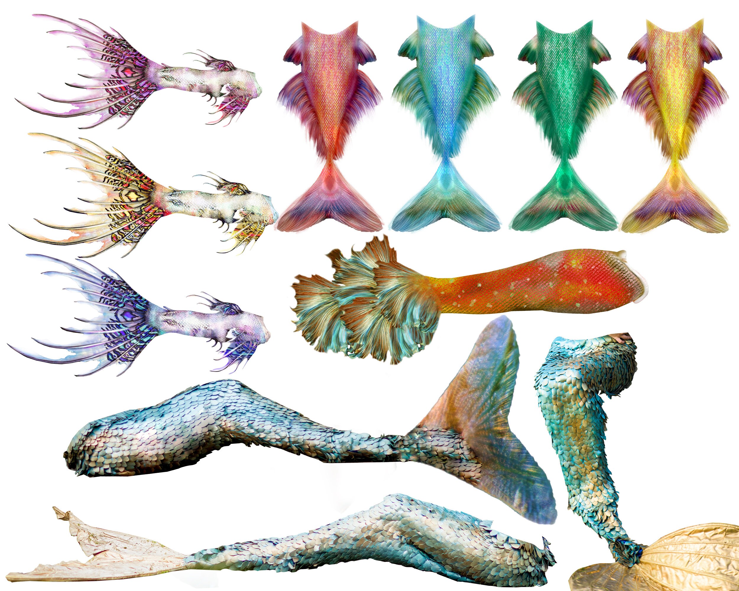 Mermaid Tail Png Mermaid Tail Clipart Mermaid Tail Overlays - Etsy