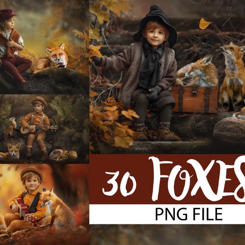 Foxes Overlays Easter Overlays Real Animals Forest Animal - Etsy