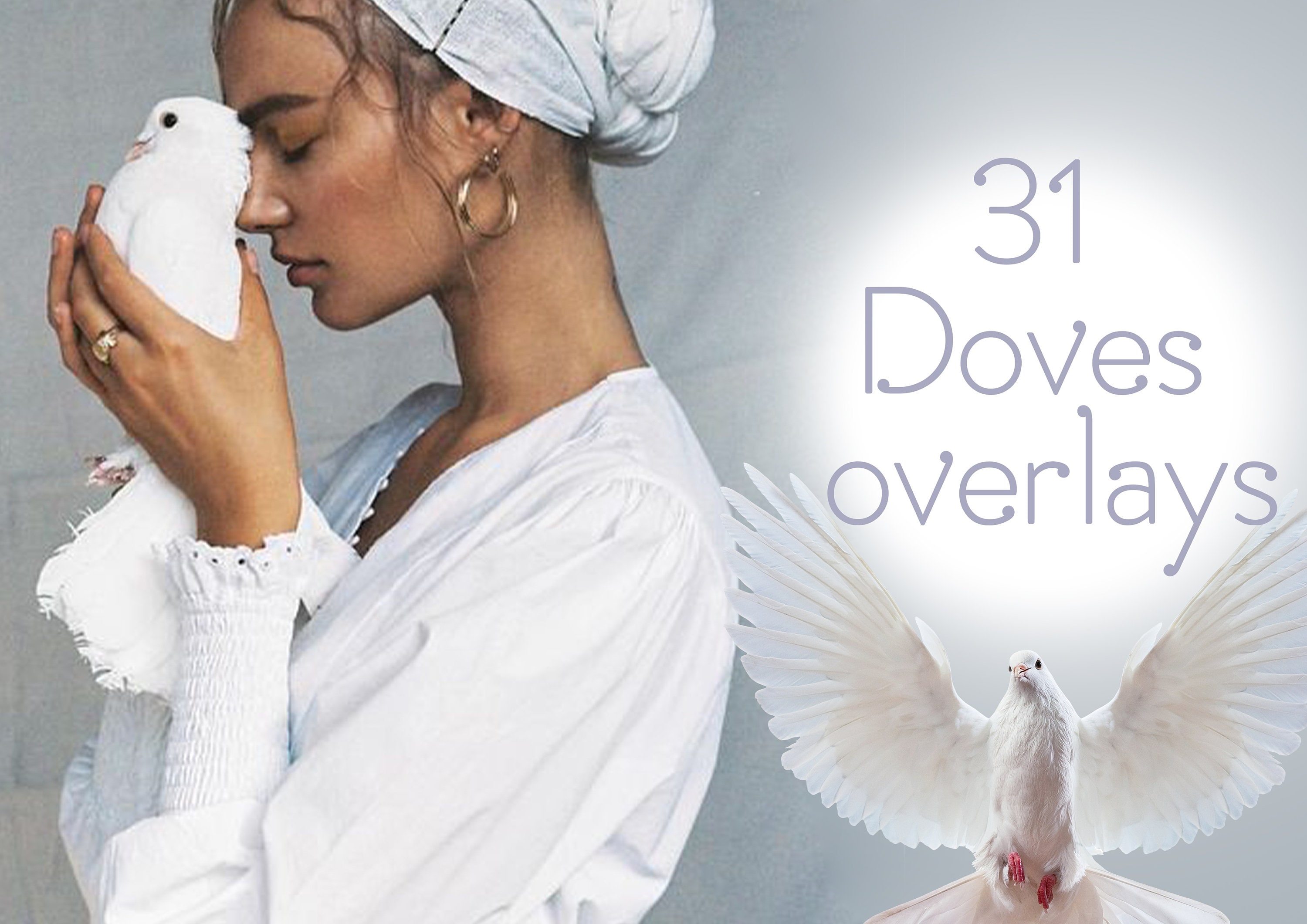 Dove Photo Overlays: Wedding Bird PNG Clipart (digital Download) - Etsy