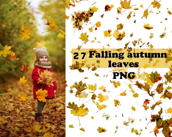 Autumn Leaf Png Autumn Leaves Overlays Falling Leaves Fall | Etsy