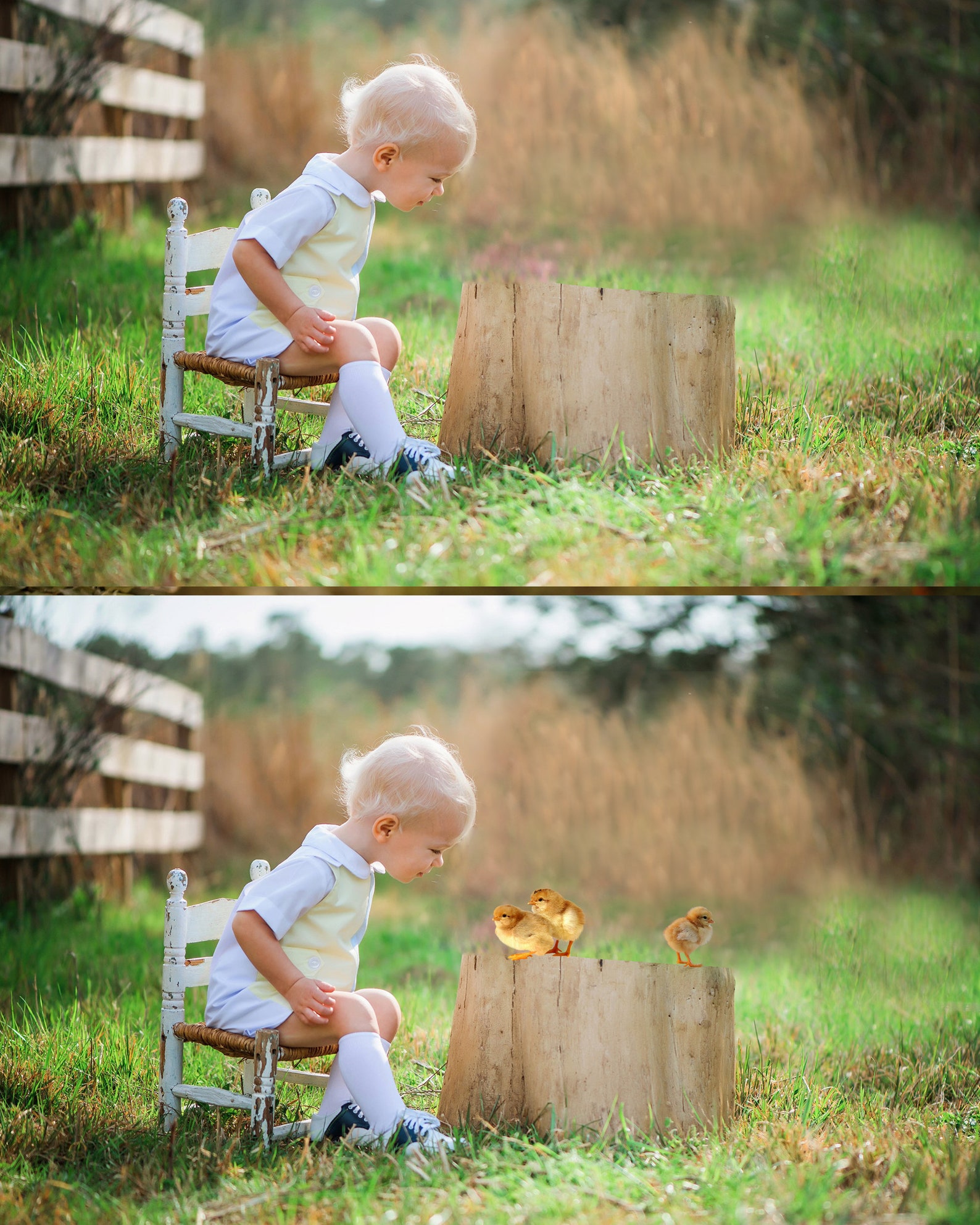 Farm Animal Overlays Chickens Overlays Easter Overlays | Etsy Canada