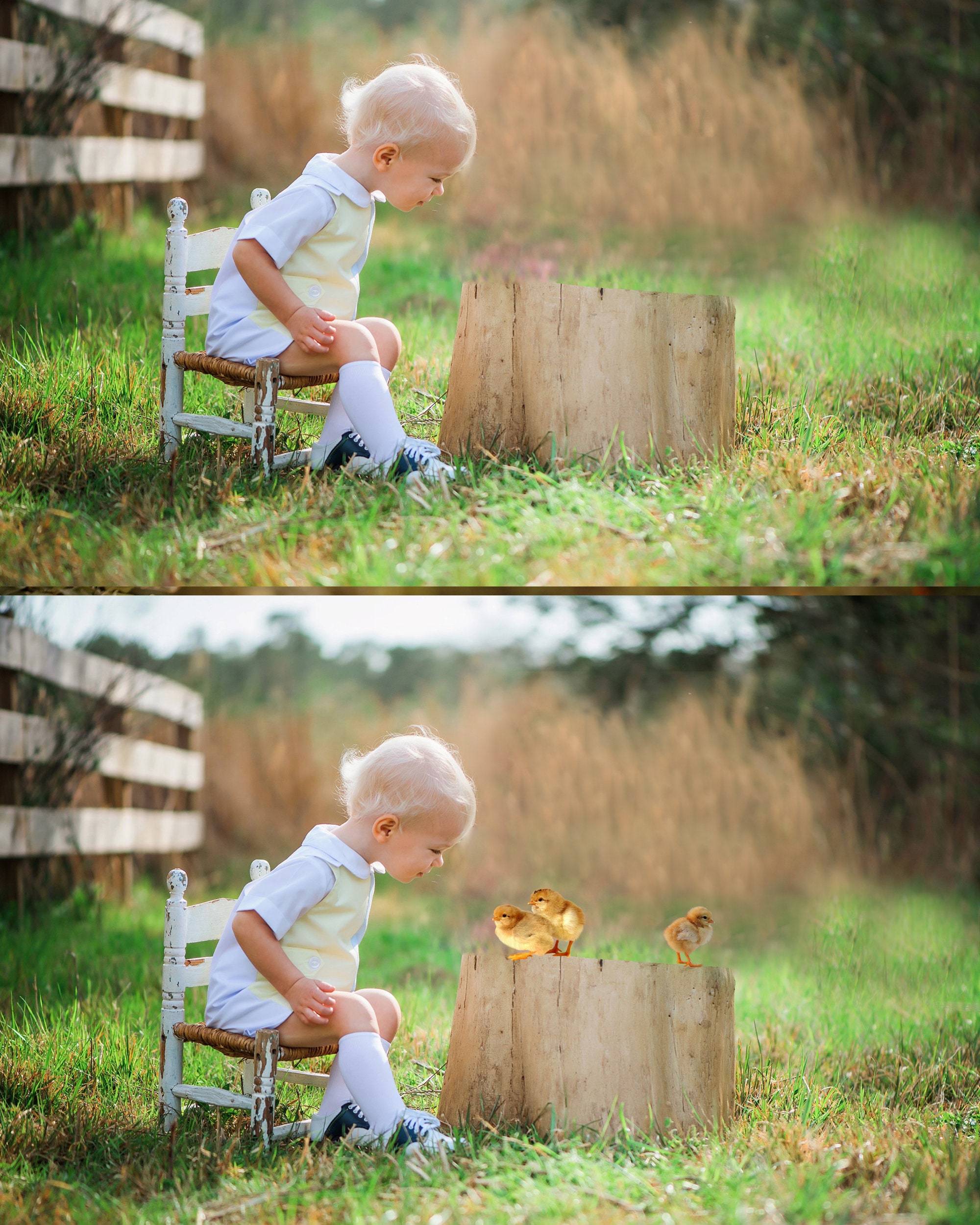 Farm Animal Overlays Chickens Overlays Easter Overlays - Etsy Canada