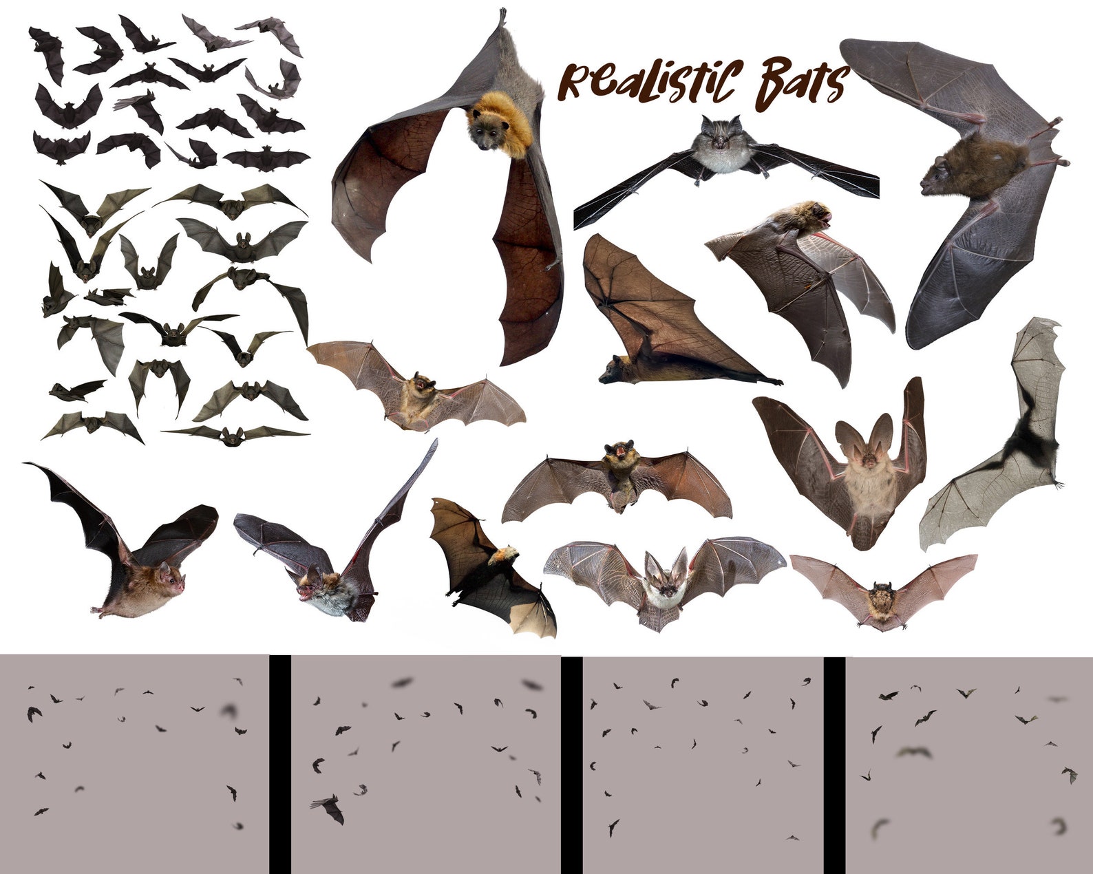 Bats Overlays Flying Bats Overlays Spooky Overlays - Etsy