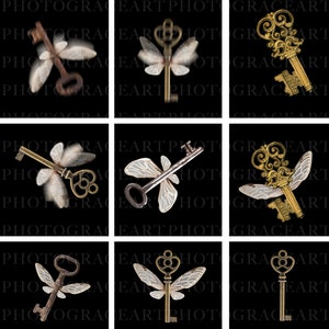Wizard Flying Keys, Winged Keys Png, Wizard Movie Flying Keys, Magical ...