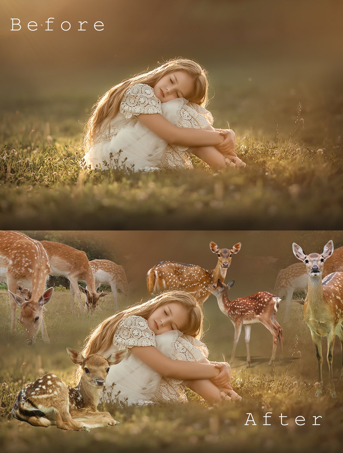 Deer Overlays Animal Overlay and Photoshop Action Collection | Etsy