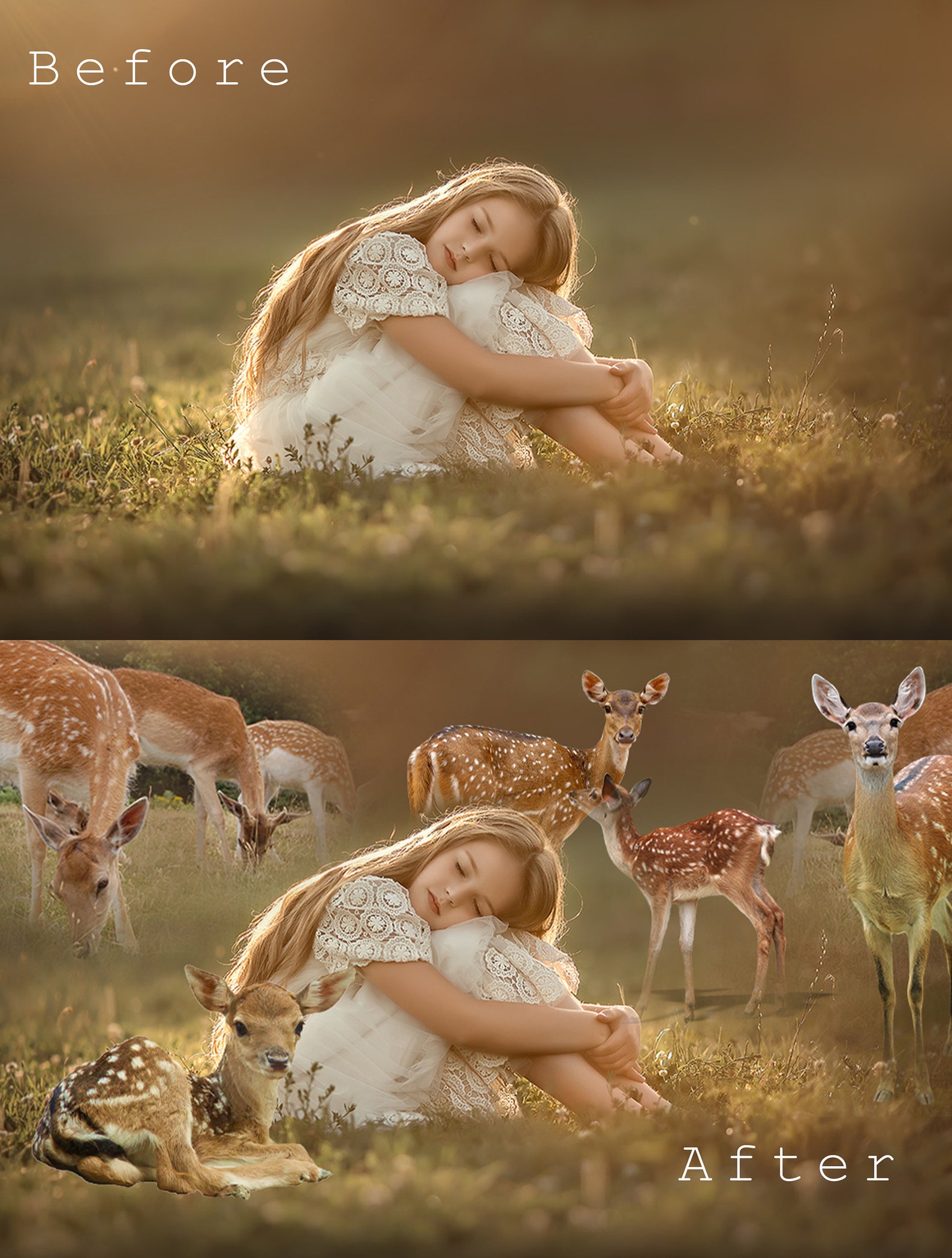 Deer Overlays Animal Overlay and Photoshop Action Collection | Etsy UK