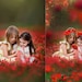 36 Red Poppies Overlays, Poppy Photo Overlay, Summer Flower Field ...