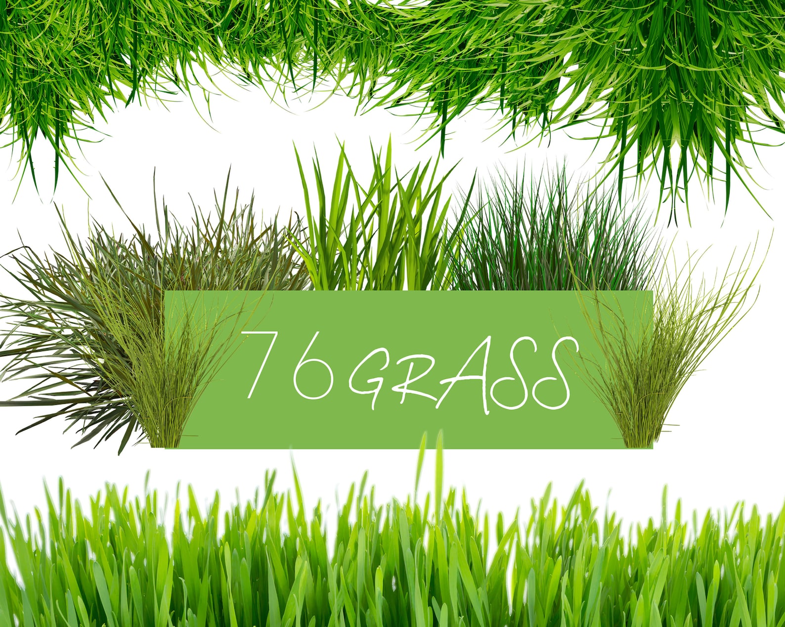 Grass Photo Overlays Glade Photoshop Overlays Grass Png - Etsy