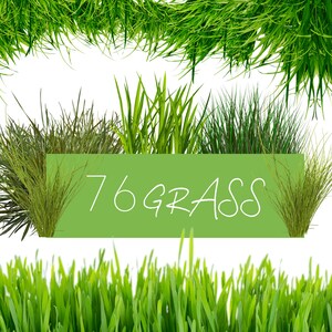 Grass Photo Overlays, Glade Photoshop Overlays, Grass Png, Foreground ...
