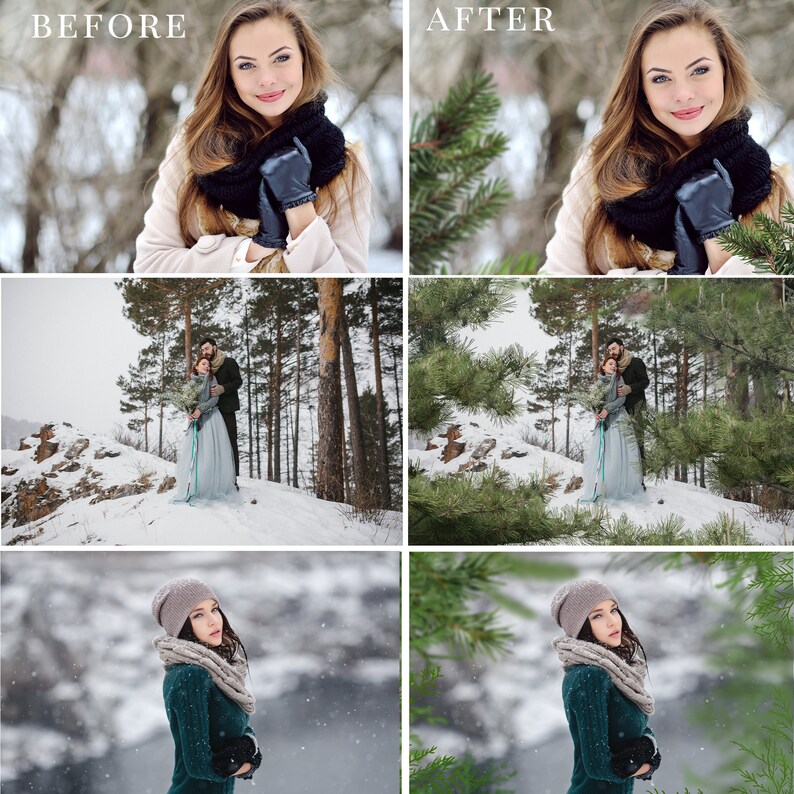 Coniferous Overlays, Evergreen Overlay Pack, Winter Digital Photoshop ...