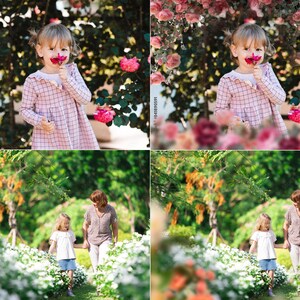 Roses Photo Overlays, Valentine's Day Overlays, Flower Overlays, Roses ...