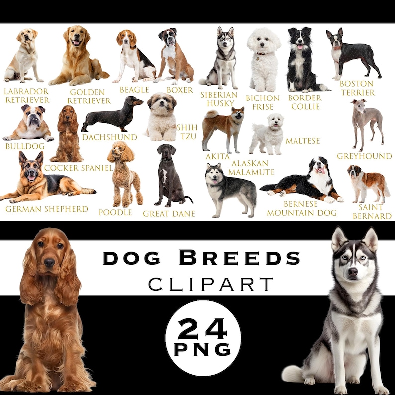 Dog Breeds Clipart Bundle: Realistic Pet PNG, Trendy Dogs, Animal Png ...