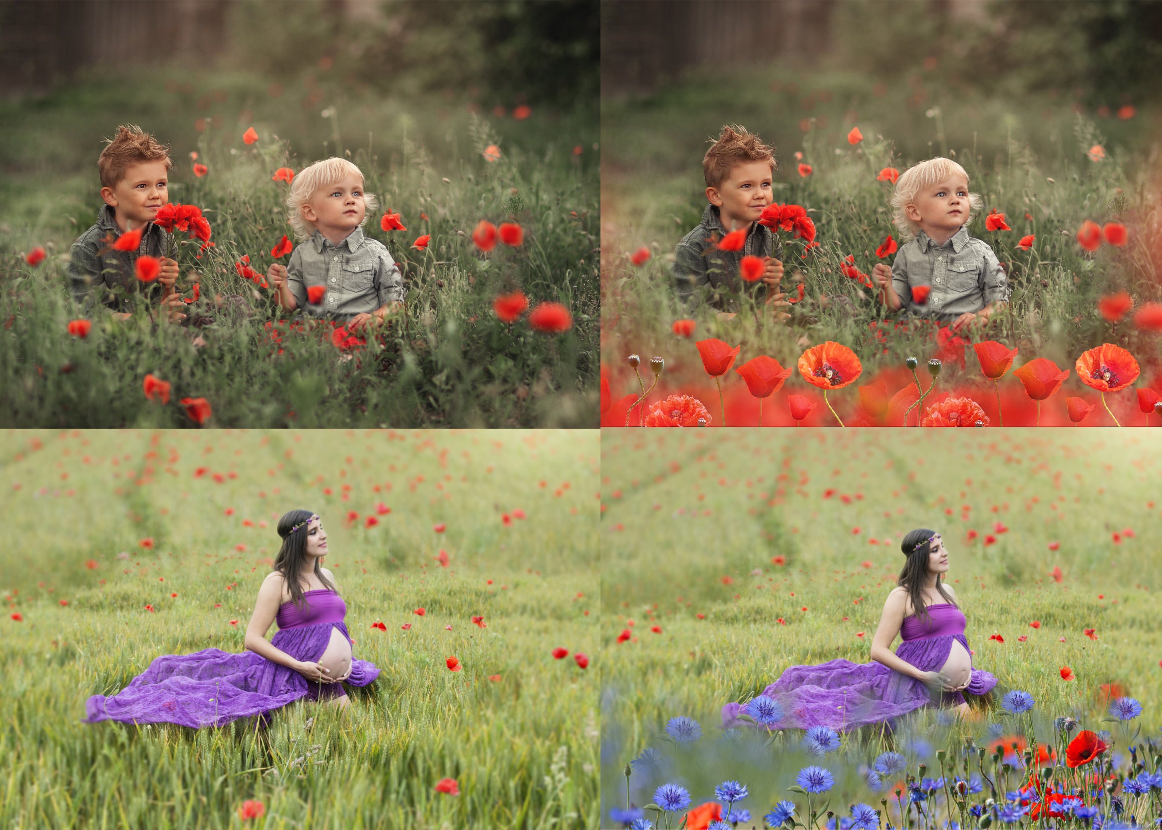 36 Red Poppies Overlays Poppy Photo Overlay Summer Flower - Etsy