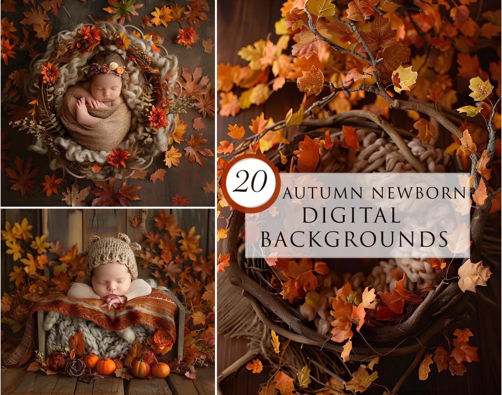 Newborn Backgrounds, Autumn Photo for Photography Composites, Fall New ...