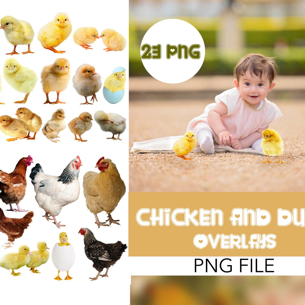 PhotoGraceArt - Etsy