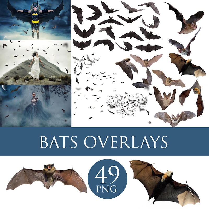 Realistic Bat Clipart - Etsy