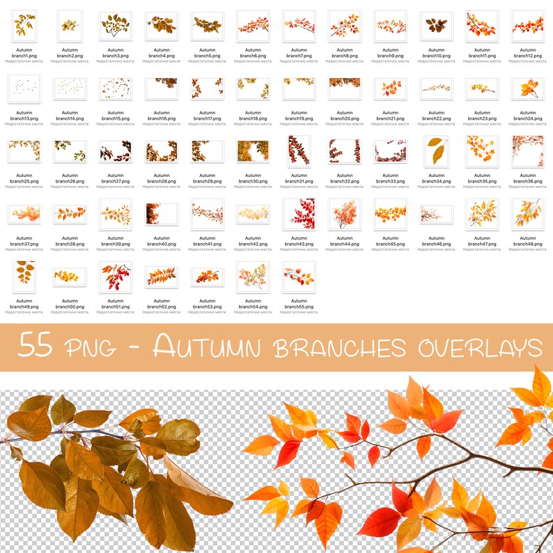 Autumn Branches Overlays, Fall Leaves for Fine Art Photography, Branch ...